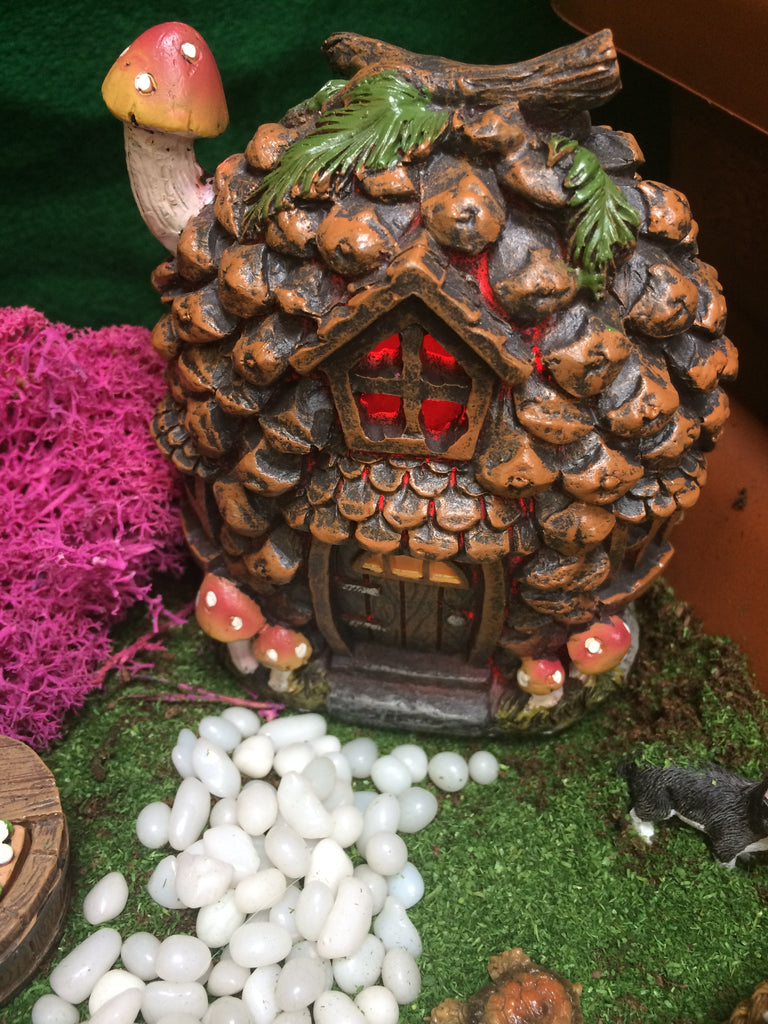 Acorn house – Finding Fairies